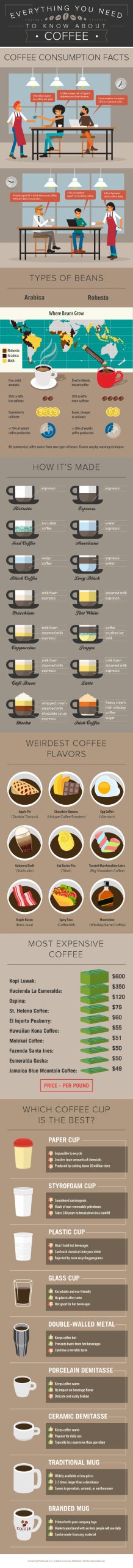 Everything You Need To Know About Coffee | Infographic Included